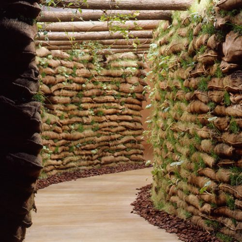 Hidden Architecture » Growth House - Hidden Architecture