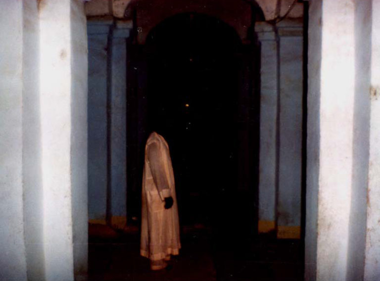 Hidden Architecture » Great Mosque of Niono - Hidden Architecture